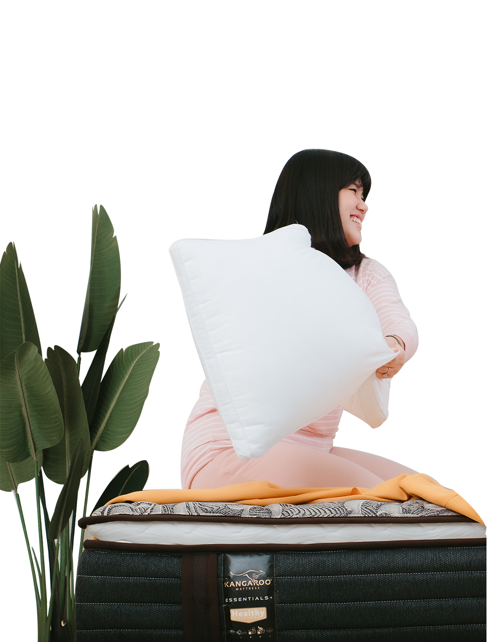 Home - Kangaroo Springbed